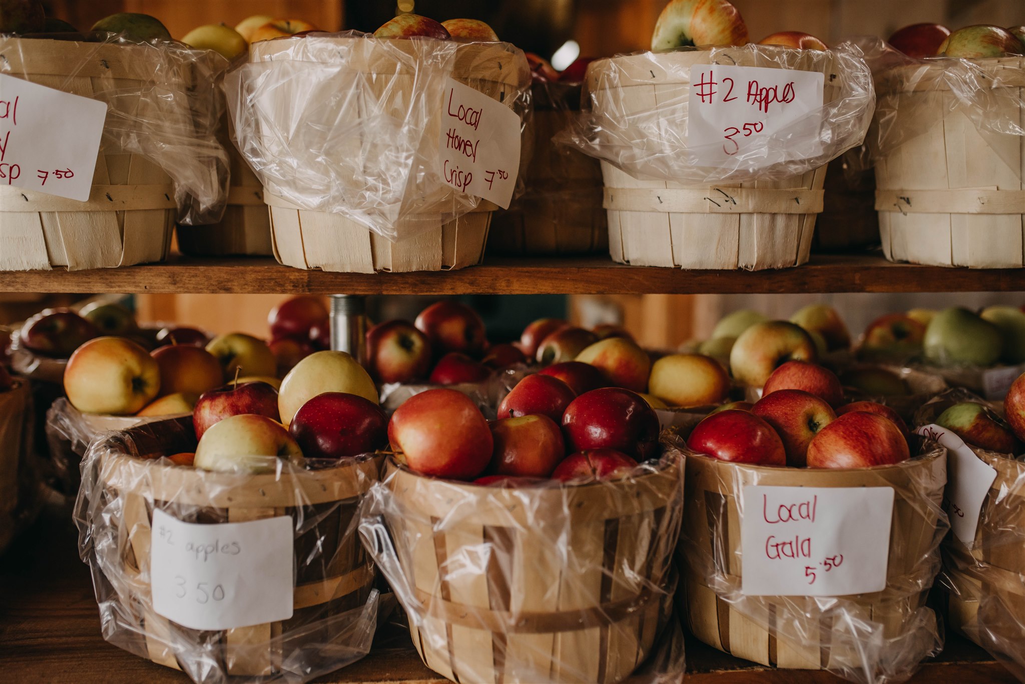 Willow Tree Market | Border City Living